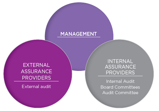 AfroCentric Integrated Annual Report 2014 - About this report