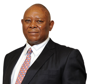 Leadership | Board of directors | Afro Centric Annual Report